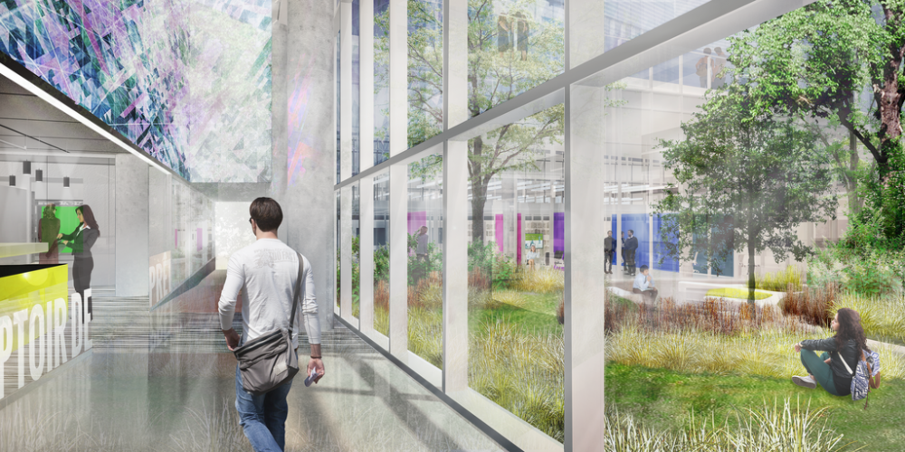 Campus MIL | Complexe des sciences : la bibliothèque se dévoile